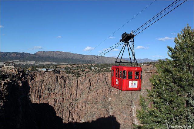 royalgorge7 | Tipsy from the TRIP